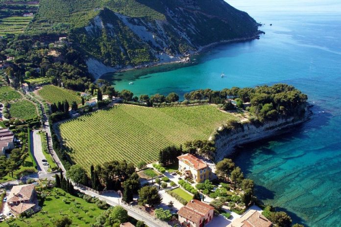 Vignoble De Cassis Des Vins Blancs Secs à Part