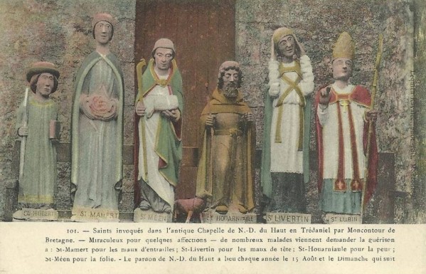 Enquête sur les saints guérisseurs. Dominique Camus en Bretagne jusqu'à la fin de l'année