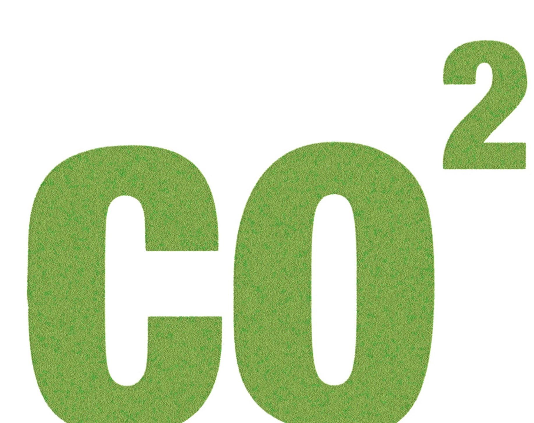 L’implication des entreprises dans la lutte pour la protection de l ...